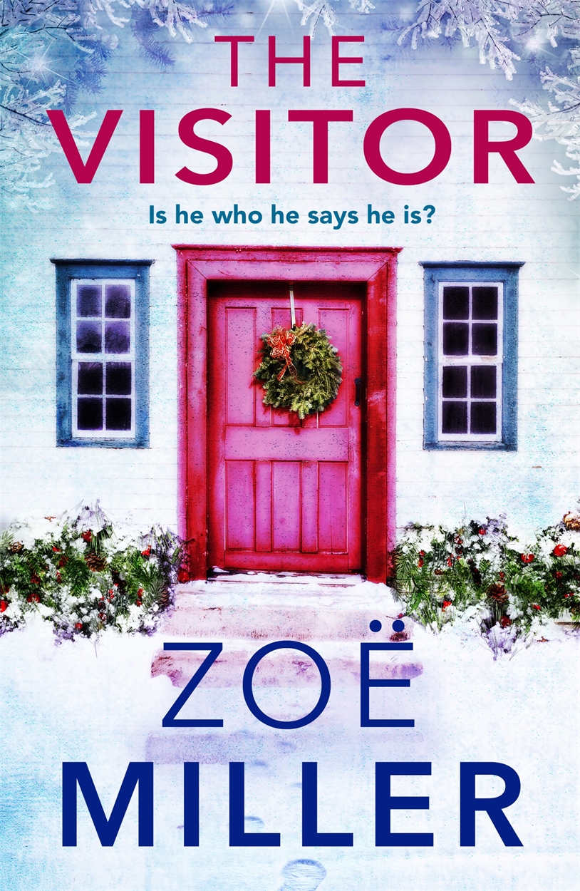 The Visitor by Zoe Miller | Incredible books from Hachette Ireland