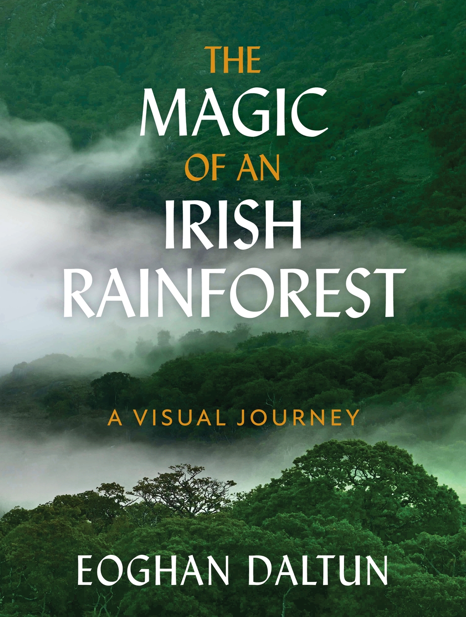 Hachette Ireland | Incredible books from Hachette Ireland